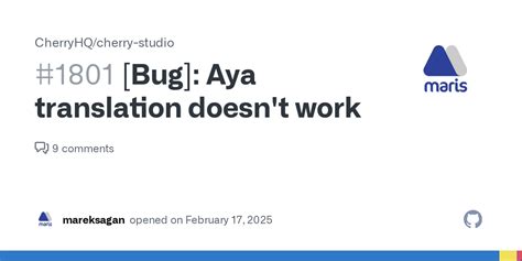 Bug Aya Translation Doesnt Work · Issue 1801 · Cherryhqcherry