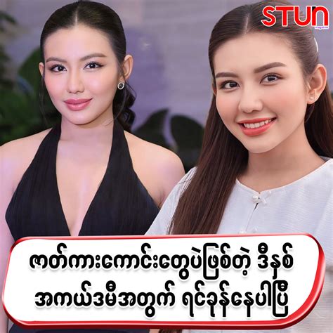 ပန်းမြိုင်လယ်မှ ဥယျာဥ်မှူးဇာတ်ကားဆိုရင် ဆရာကြီးပ