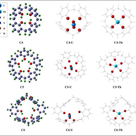 Molecular Structure Diagrams Of Each Hydroxycalixarene C4 C5 And C6