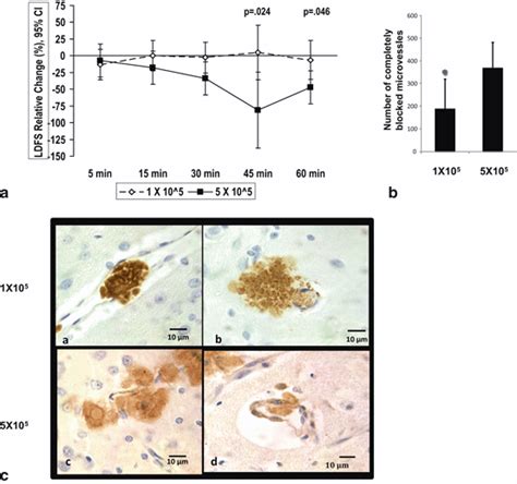 Intra Arterial Approaches To Stem Cell Therapy For Ischemic Stroke