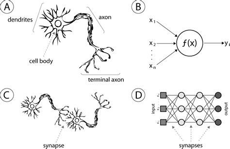 How To Build A Simple Artificial Neural Network Ann By Hadican Medium