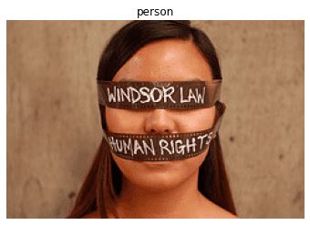 Multi Label Image Classification With PyTorch Image Tagging LearnOpenCV