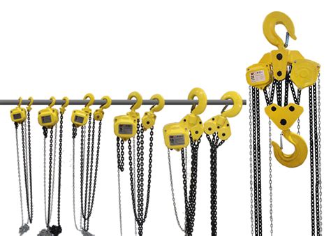 Chain Block 1 Ton 20 Ton 3 Mtr 20 Mtr Caldwell Jual Inverter