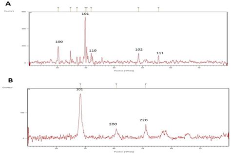 Effect Of Phytosynthesized Selenium And Cerium Oxide Nanoparticles On