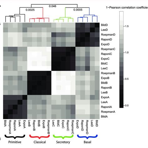 discovery cohort correlation matrix and dendrogram cells are labeled