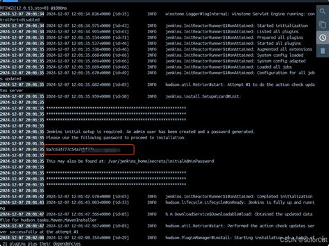 使用docker安装jenkins csdn博客