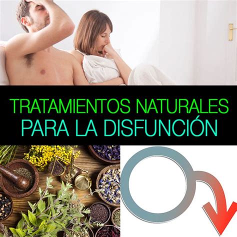 Remedios Caseros Para La Disfunci N Er Ctil Seguros