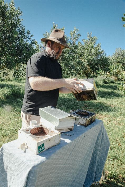 Native Bee Keeping Products And Services — The Australian Native Bee Co
