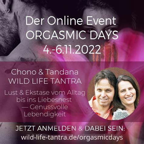 Online Lust Ekstase Vom Alltag Bis Ins Liebesnest Genussvolle Lebendigkeit Praktizieren