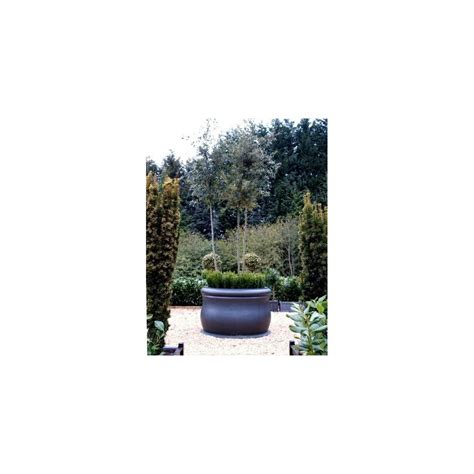 Large Lightweight Plant Containers For Trees