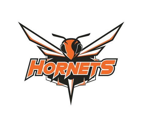 Ethan Walters Plattsburgh Hs Plattsburgh Ny Maxpreps