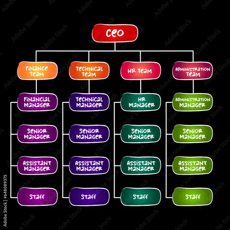 Hand Drawn Company Hierarchical Structure Popular Organizational Chart