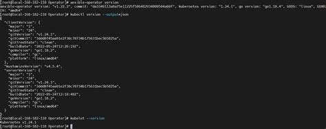 【云原生】kubernetes 有状态应用程序控制器 Operatormake Docker Build Csdn博客