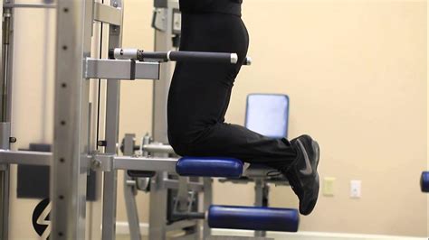 Muscles Worked Using The Assisted Pull Up Machine Ls Training At