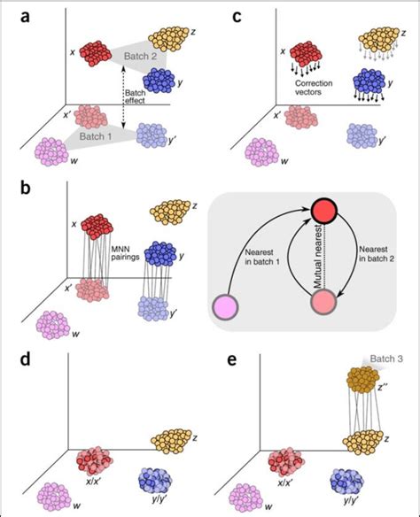 Batch Effect Correction Via Mnn A Batch 1 And Batch 2 In High