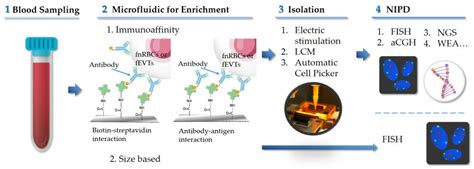 Recent Advances Of Microfluidic Platform For Cell Based Non Invasive Prenatal Diagnosis
