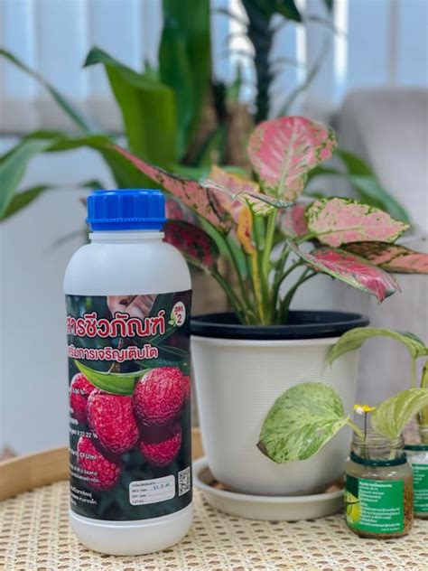 หัวเชื้อจุลินทรีย์เสริมสร้างการเจริญเติบโต สูตร2 Microbial Inoculum
