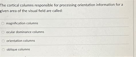 Solved The Cortical Columns Responsible For Processing