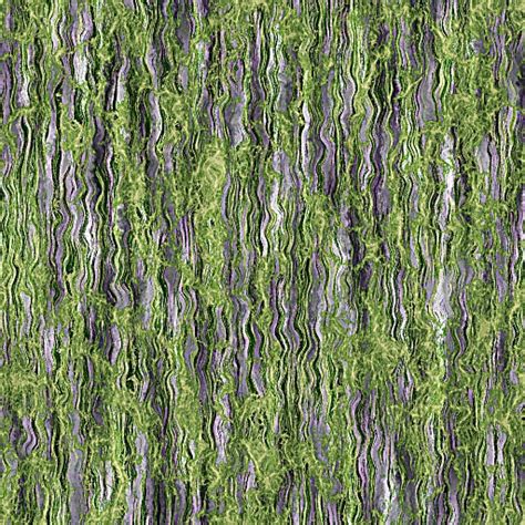 szi tang2 texture diffuse map