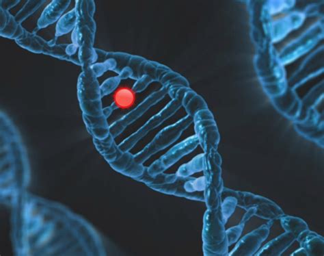 Personalized Medicine The Power Of Complex Genetics Newsylist