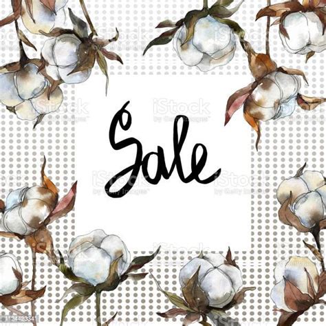 목화 꽃 식물 꽃입니다 수채화 배경 그림 설정 합니다 프레임 테두리 장식 스퀘어입니다 그리기에 대한 스톡 벡터 아트 및 기타 이미지 그리기 꽃 식물 꽃봉오리 Istock