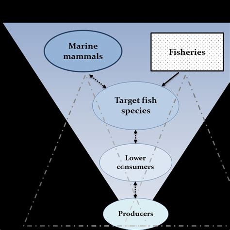 Three Types Of Hollings Functional Responses A Type I B Type Ii