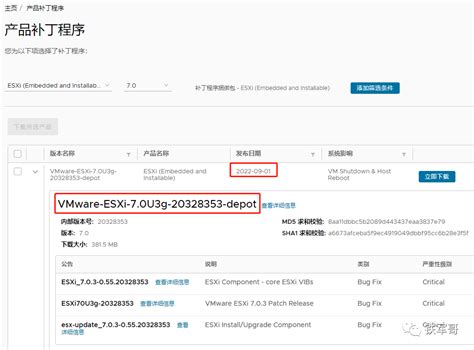 如何将vmware Esxi 6 7升级版本到7 0？ 知乎