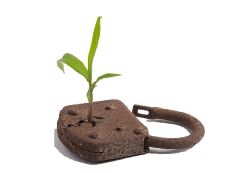 Livable Software Building Software Worth Using Making Sure Its