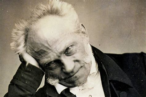 El Sufrimiento En El Mundo Por Arthur Schopenhauer Cultura Inquieta