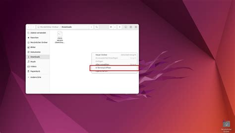 Cisco Secure Client Für Linux