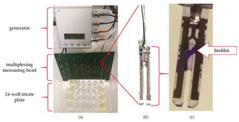 the measurement setup a measurement system b quartz tuning fork download scientific