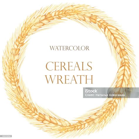 수채화 손 은 노란색 황금 스파이크 호밀 곡물 필드 곡물 필드 와 자연 유기 원 테두리 프레임 초대 및 인사말 카드에 대 한 흰색 배경에 텍스트화환 0명에 대한 스톡 벡터
