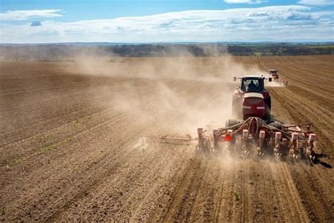 შმიგალი უკრაინა წელს 45 მილიონ ტონა მარცვლეულისა და პარკოსნების მოსავალს მოელის Bpn