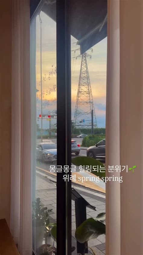 Spring Spring Sprspring • Instagram Photos And Videos