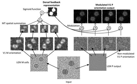 An Example To Demonstrate The Principles Of The Proposed Computational Download Scientific