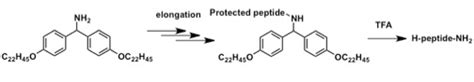 Merrifield Solid Phase Peptide Synthesis Chem Station Int Ed
