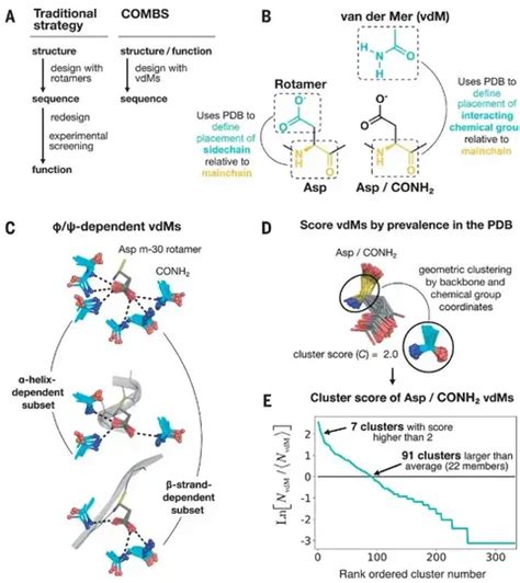 Mhc I 类蛋白的结构与功能 知乎