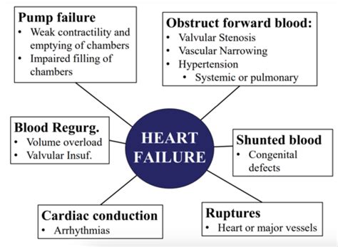 Cardiovascular Sys Path Flashcards Quizlet