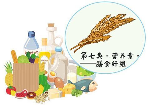 最佳肠道卫士维乐夫膳食纤维，修复肠道动力的高手 妙手医生