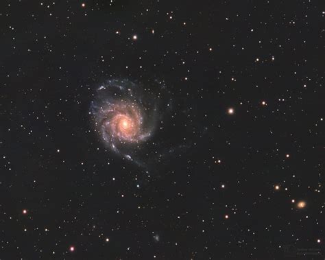 M101 Rasa 11 Astrobin