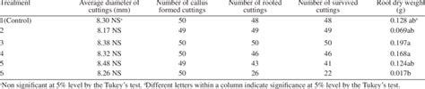 Effects Of The Addition Of Clinker Ash To The Propagation Medium On The