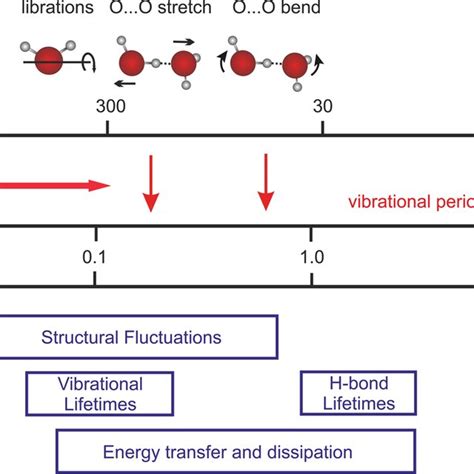 Pdf Water Dynamics In The Hydration Shells Of Biomolecules