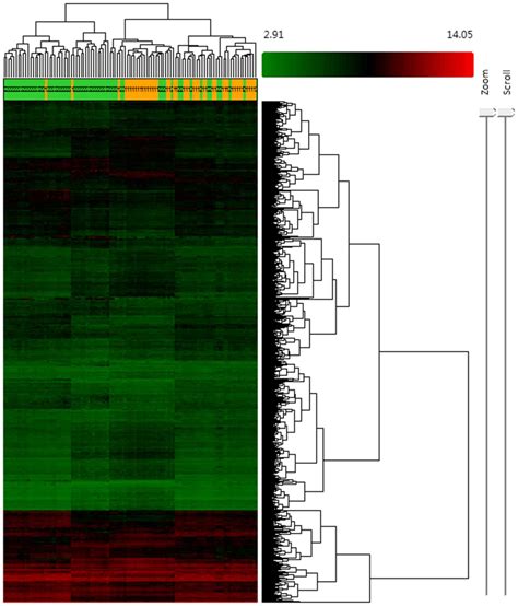 Integrative Analysis Of The Contribution Of Mrnas And Long Non‑coding
