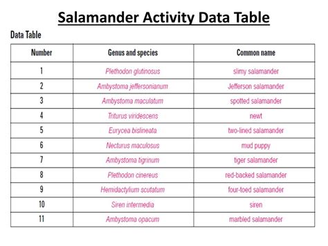 Ppt Dichotomous Keys Powerpoint Presentation Free Download Id2741166