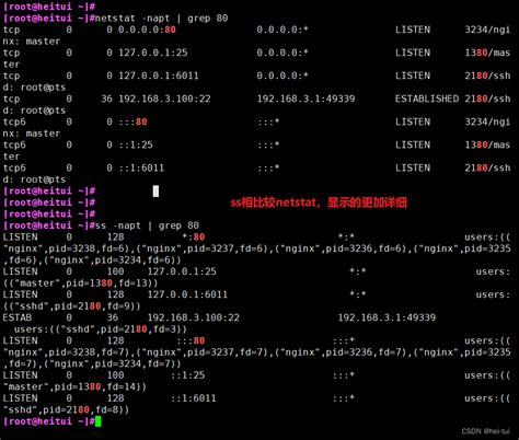 linux网络、linux搭建dhcp服务及linux时间同步 dhcp服务端 csdn博客