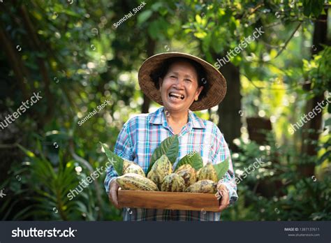 Cocoa Pod Icon Stock Photos Images Photography Shutterstock