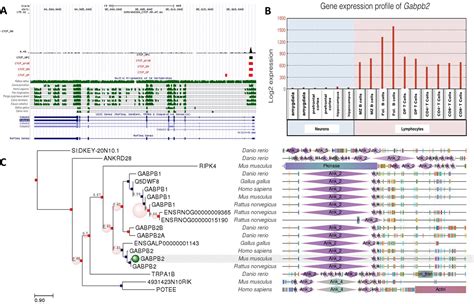 differential ctcf binding in motor neurons and f1000research