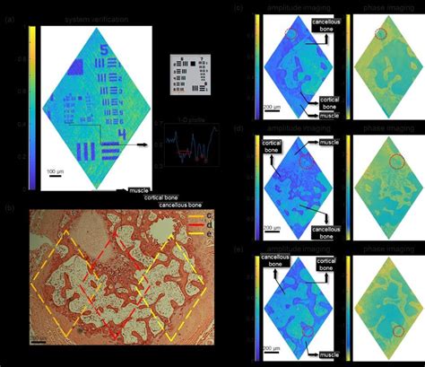 performance of the high throughput sph in high resolution mode a