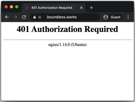 Basic Authentication Boundless Zone