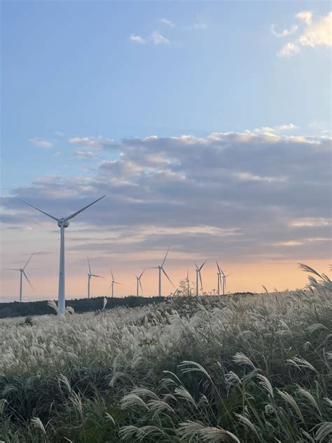 제주 2박 3일 가을 제주여행 서쪽👉🏻동쪽코스 2일차2 네이버 블로그